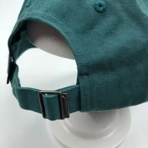 Patagonia | Accessories | Patagonia P6 Label Trad Cap Mens Teal Green ...